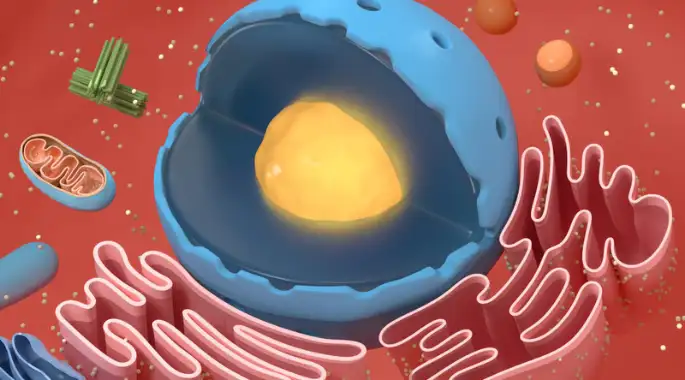 Cytoplasm - Structure and Functions » BIOLOGY TEACH