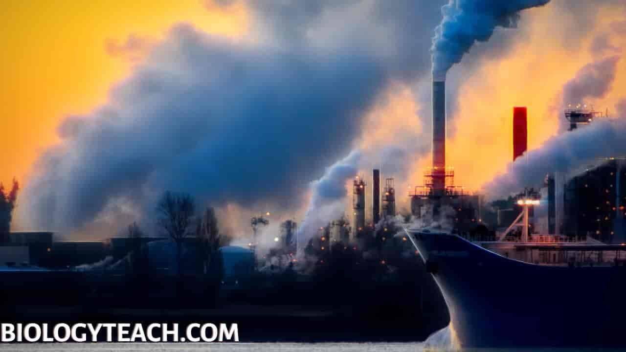 AIR POLLUTION » BIOLOGY TEACH