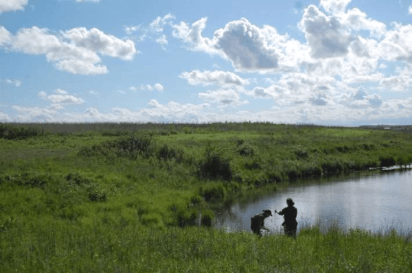 Ecology-ecosystem and its types » BIOLOGY TEACH